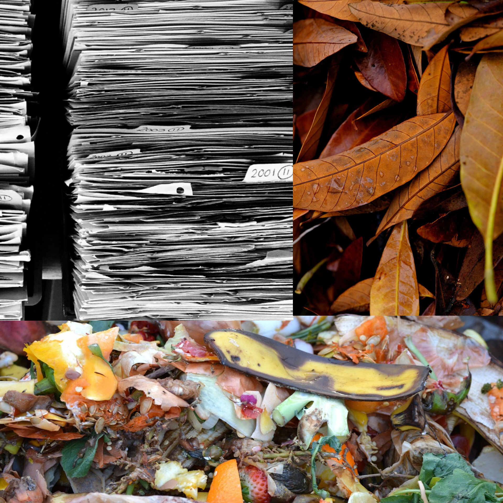 Biodegradable And Non-Biodegradable Waste: Meaning, Differences, And ...